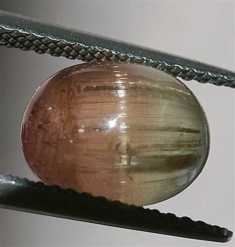 Bi Colour Tourmaline Cats Eye 392 Ct Catawiki