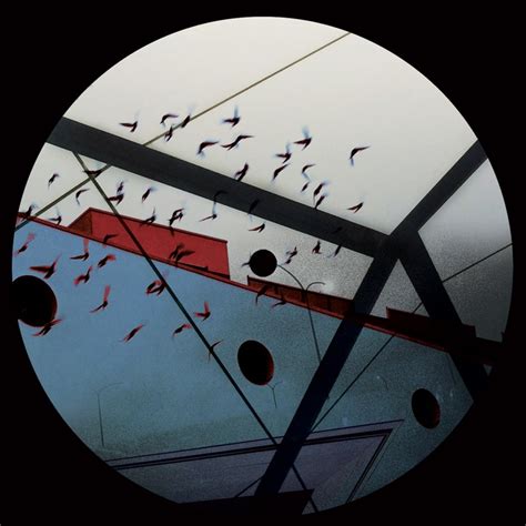 Basic Acid Template Fundamental Interaction Song Lyrics Music