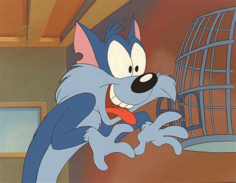 Tiny Toons Furrball