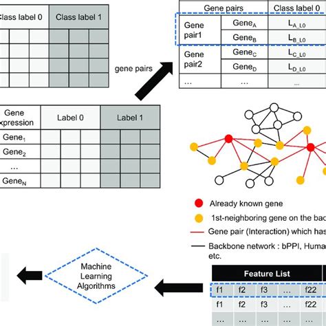 Overview Of The Proposed Approach Gene Expression Data With Two Class Download Scientific