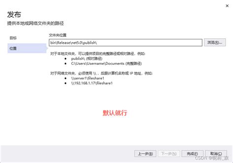 5 和 6 部署到 iis 完整步骤 dotnethosting csdn博客
