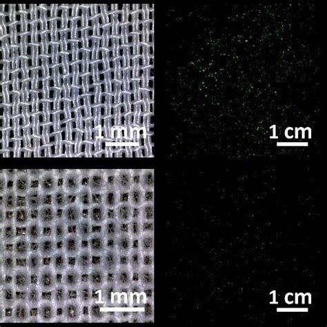 Micrographs Of Blocking Materials And Their Stains Patterns From Top
