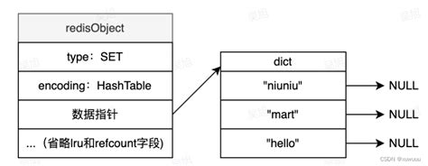 Redisset操作详解：intset与hashtable编码策略 Csdn博客