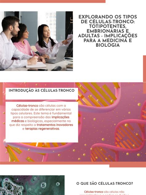 Slidesgo Explorando Os Tipos De Celulas Tronco Totipotentes
