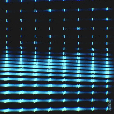 Loop GIF Find Share On GIPHY