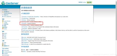 Geoserver使用——postgis作为数据和shapefile作为数据geoserver 命名空间 Uri Csdn博客