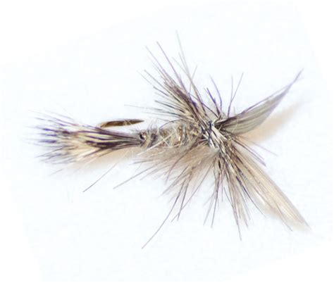 Hares Ear Gold Rib Traditional Dry Fly From The Guys At Fish Fishing Flies