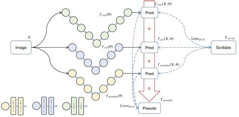Weak Mamba UNet Visual Mamba Makes CNN And ViT Work Better For Scribble Based