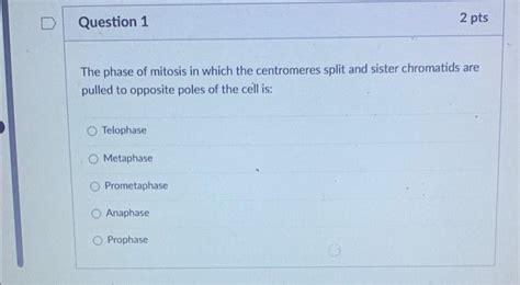 Solved The Phase Of Mitosis In Which The Centromeres Split