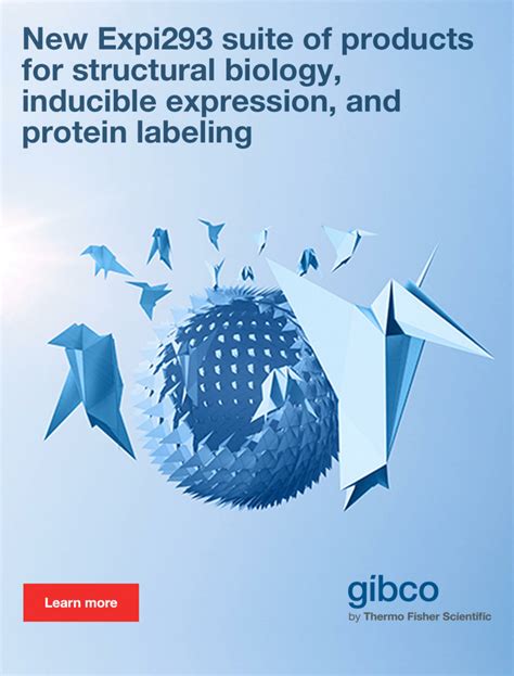 Pdf An Overview Of Structure Function And Regulation Of Pyruvate Kinases