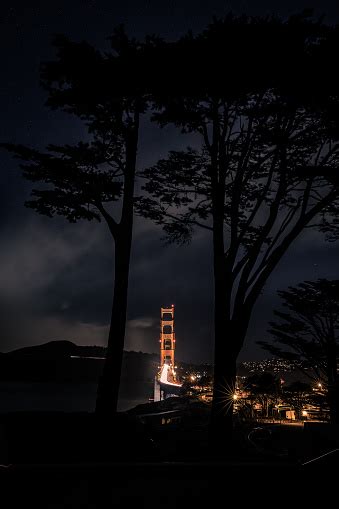 골든 게이트 브리지 별 밤 두 Silhouetted 나무와 자동차 빨간색과 모션을 보여주는 흰색의 빛을 산책로 사이 줄지어