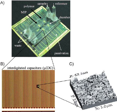 A Picture Of The Microfluidic Biochip Consisting Of Glass Bottom Download Scientific Diagram