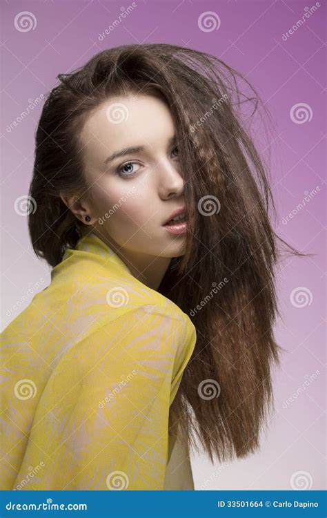 Sensual Woman With Dishevelled Hair Style Stock Images Image 33501664