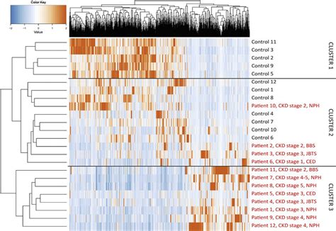 Supervised Hierarchical Clustering Of Normalized Protein Counts P