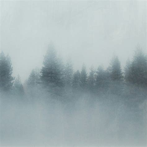 Stream Deep Breakfast 336 ~ Eden Aurelius By Deep Breakfast Series Listen Online For Free On