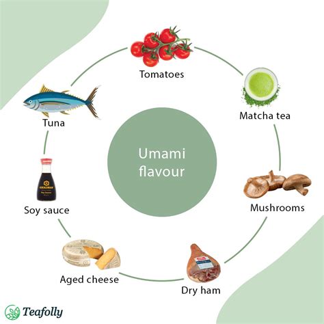 Umami Taste Diagram