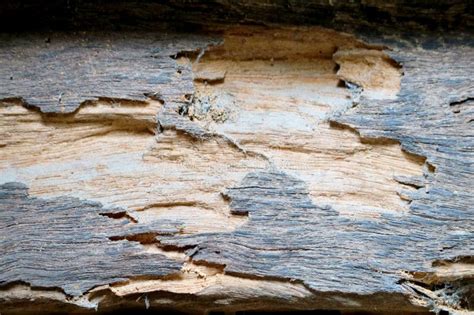 Textured Surface Of Weathered Wood With Natural Patterns And Colors Stock Image Image Of
