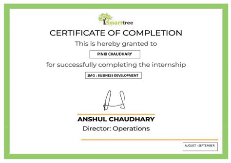 pinki chaudhary on linkedin internshipexperience