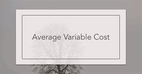 Average Variable Cost Explained Intelligent Economist