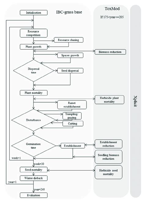 Flow Chart Of The Processes Within IBC Grass Download Scientific Diagram