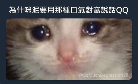 我就怕被罵 梗圖板 Dcard