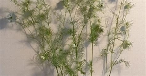 소피아 고수의 언어치료 서비스 경기 용인시 숨고 숨은고수
