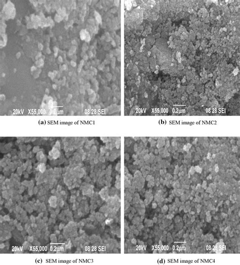 Sem Image Of Nmc1 Nmc2 Nmc3 And Nmc4 Nanoferrites Download Scientific Diagram