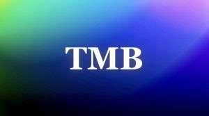 Tmb Meaning In Texting Explained Use Cases Examples Fossbytes