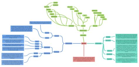 Biosfera Coggle Diagram