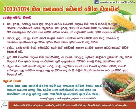 Department Of Agriculture Sri Lanka On Linkedin 2023 2024 මහ කන්නයේ