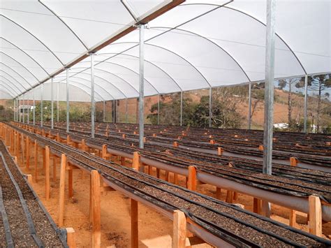 Estufa Agrícola para Plantação de Morango Tropical Estufas Agrícolas Hidroponia Filme