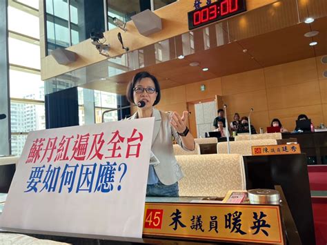 攤販受蘇丹紅波及 中市議員朱暖英籲政府研議減稅 臺灣導報