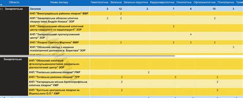 Замість МСЕК 11 експертних команд де на Закарпатті оцінюватимуть працездатність людей у 2025