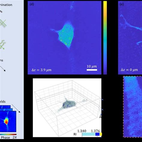 Coherent Noise Problem In Optical Diffraction Tomography Odt A B Download Scientific