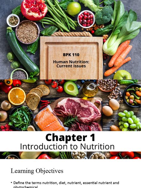 Bpk 110 Chapter 1 Pdf Nutrients Experiment