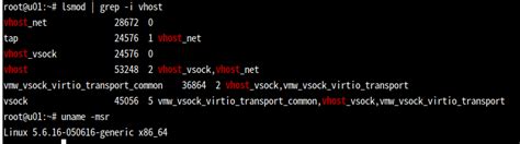Cannot Set Up Guest Memory Pc Ram Cannot Allocate Memory When Vm Start LXD Linux