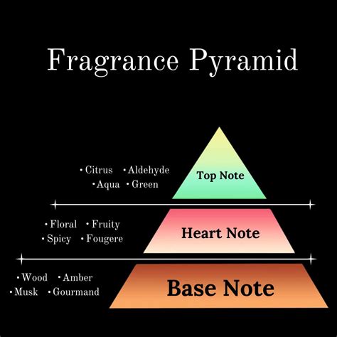 Understanding Fragrance Notes Top Middle And Base Wisdom Fragrances