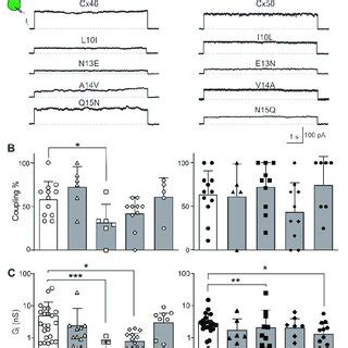 Coupling Percentage And Conductance Gj Of N2A Cell Pairs Expressing