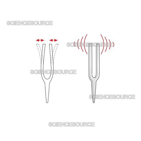 Tuning Fork Vibrations And Sound Waves Stock Image Science Source Images