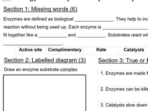 Igcse Biology 2c Enzyme Theory Summary Sheet Teaching Resources