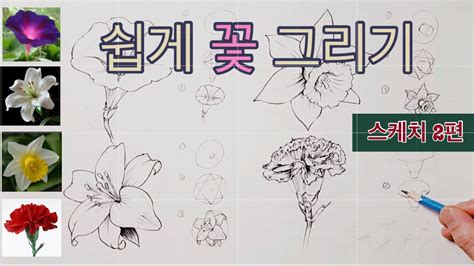 쉽게 꽃 그리기 2편 초보자를 위한 꽃 쉽게 스케치하는 방법 꽃 잘 그리기 카네이션 그리기 백합 그리기 수선화