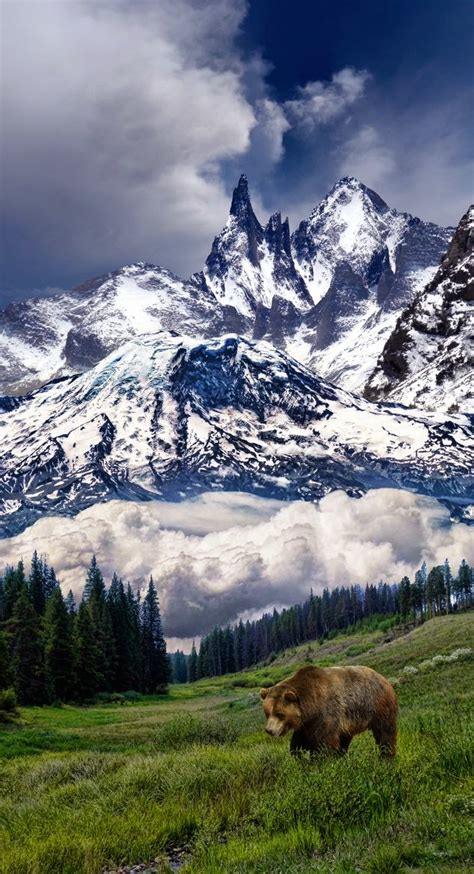 صور لمناظر طبيعية خلابة