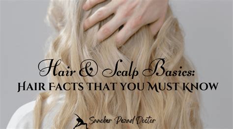Hair And Scalp Basics Hair Facts That You Must Know Sanoberpezaddoctor