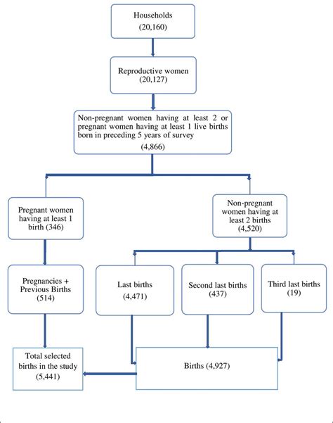 Flow Chart To Select Live Births In Computing Birth Intervals