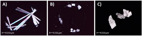 Polymorph Prediction Through Observed Structural Isomorphism Leading To