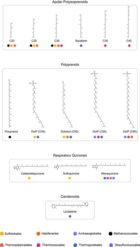 Polyterpenes Found In Extremophilic Archaea Apolar Polyisoprenoids