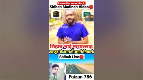 Shihab Bhai Hiran Ke Sath Khel Rahe Hai Saudi Me Youtube