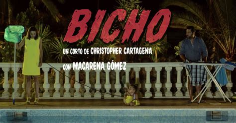 Bug Bicho Short Film By Christopher Cartagena Indiegogo