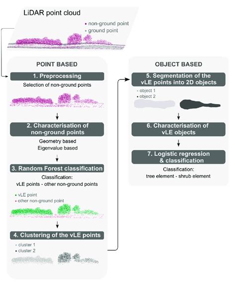 Schematic Representation Of The Workflow Applied To Classify Lidar