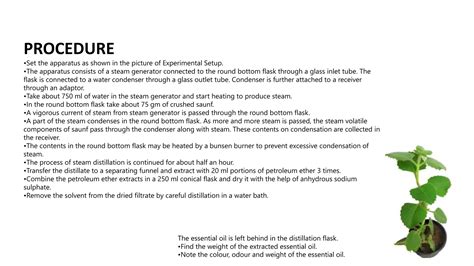 Extraction Of Essential Oils Investigatory Project Pptx